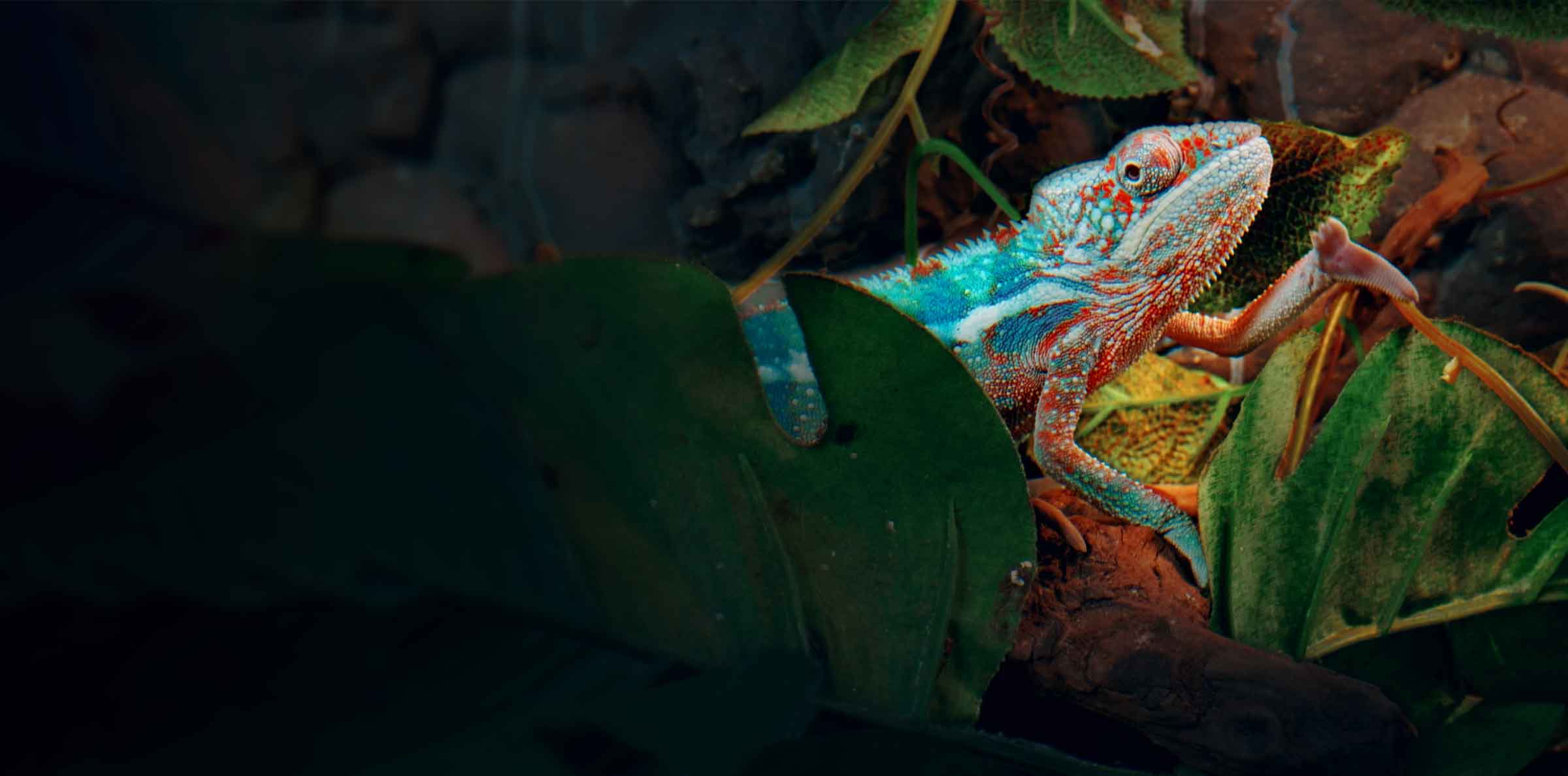 Financial Crime In Focus: Spring 2023 Update